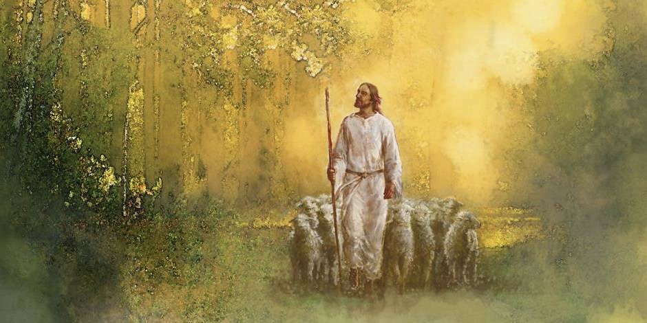 The Shepherd’s Mission to All Nations – Sunday Gospel Reflections