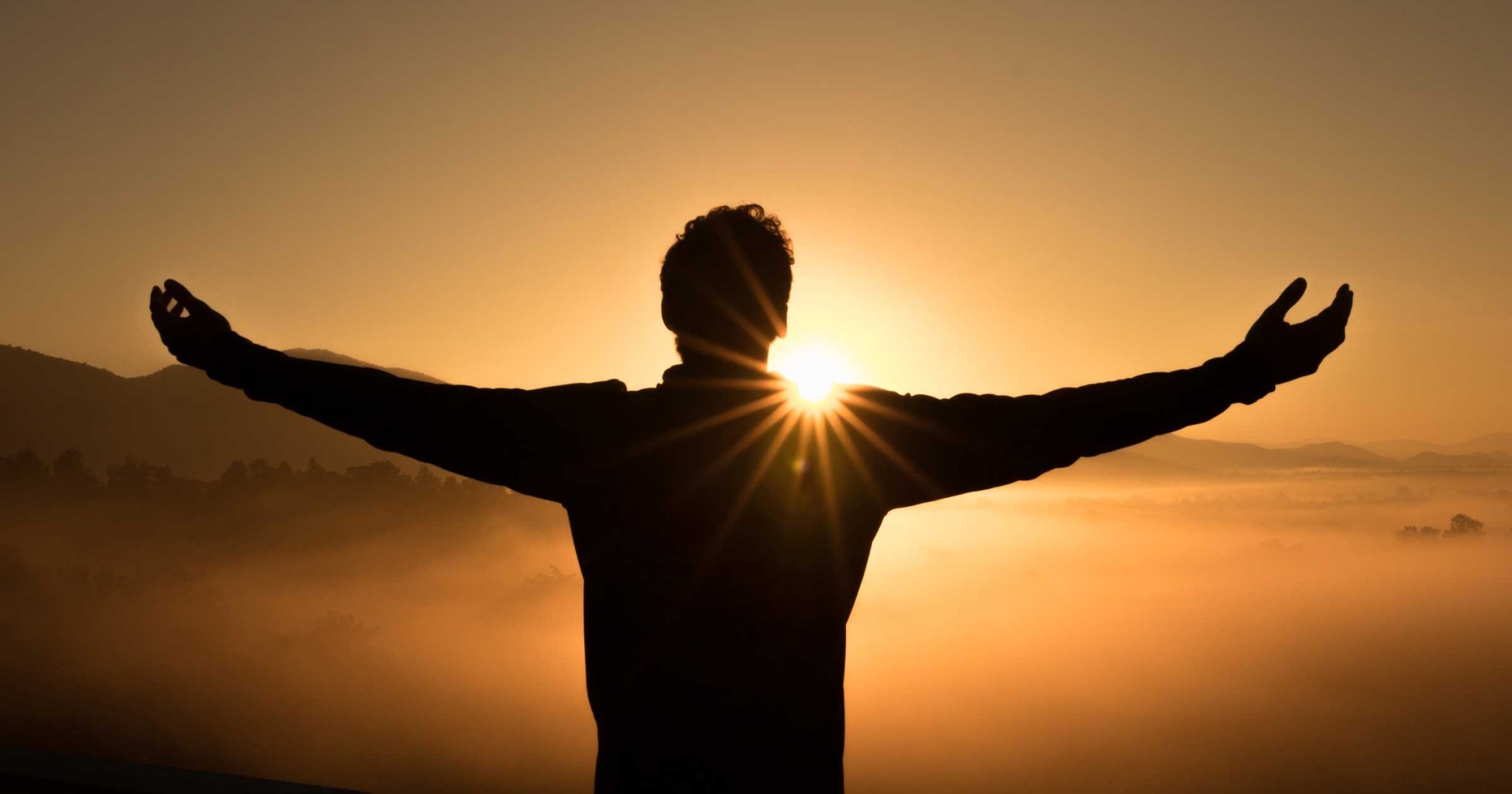 The Quiet Strength of the Meek – Sunday Gospel Reflections